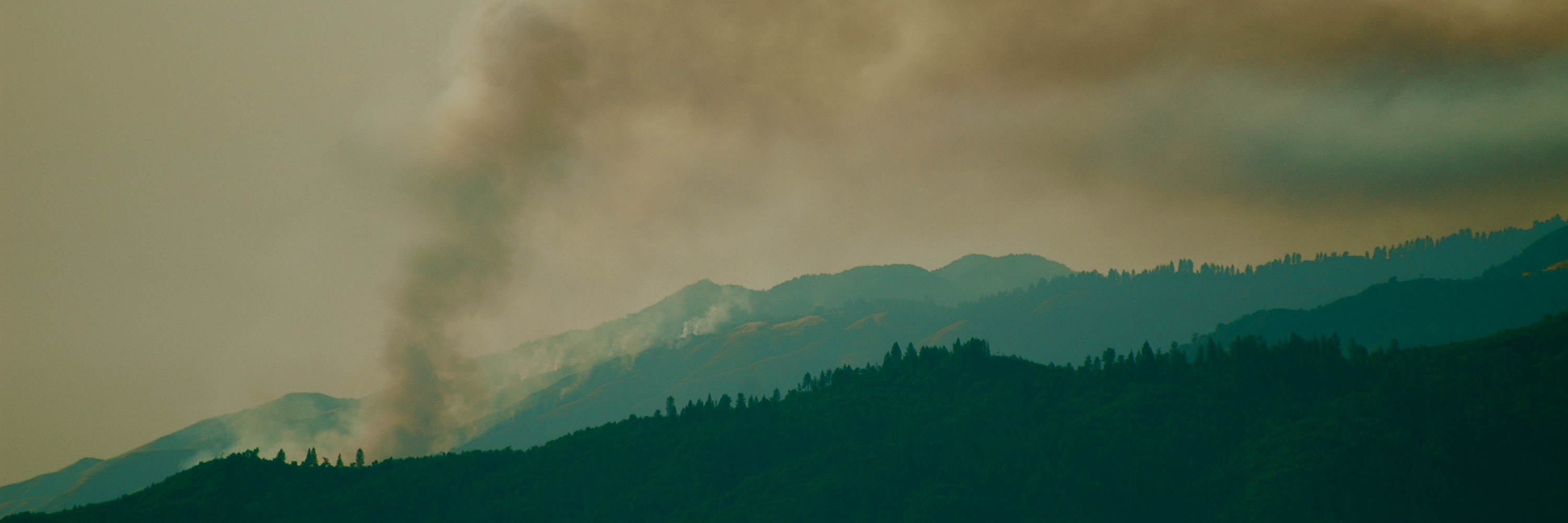 Summer Solstice & Basin Fire – BigSurKate