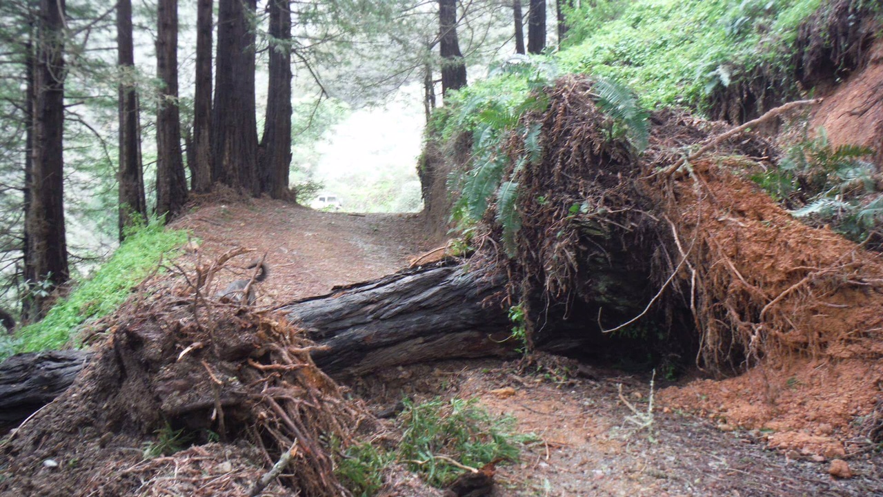 Plaskett Ridge Road – BigSurKate