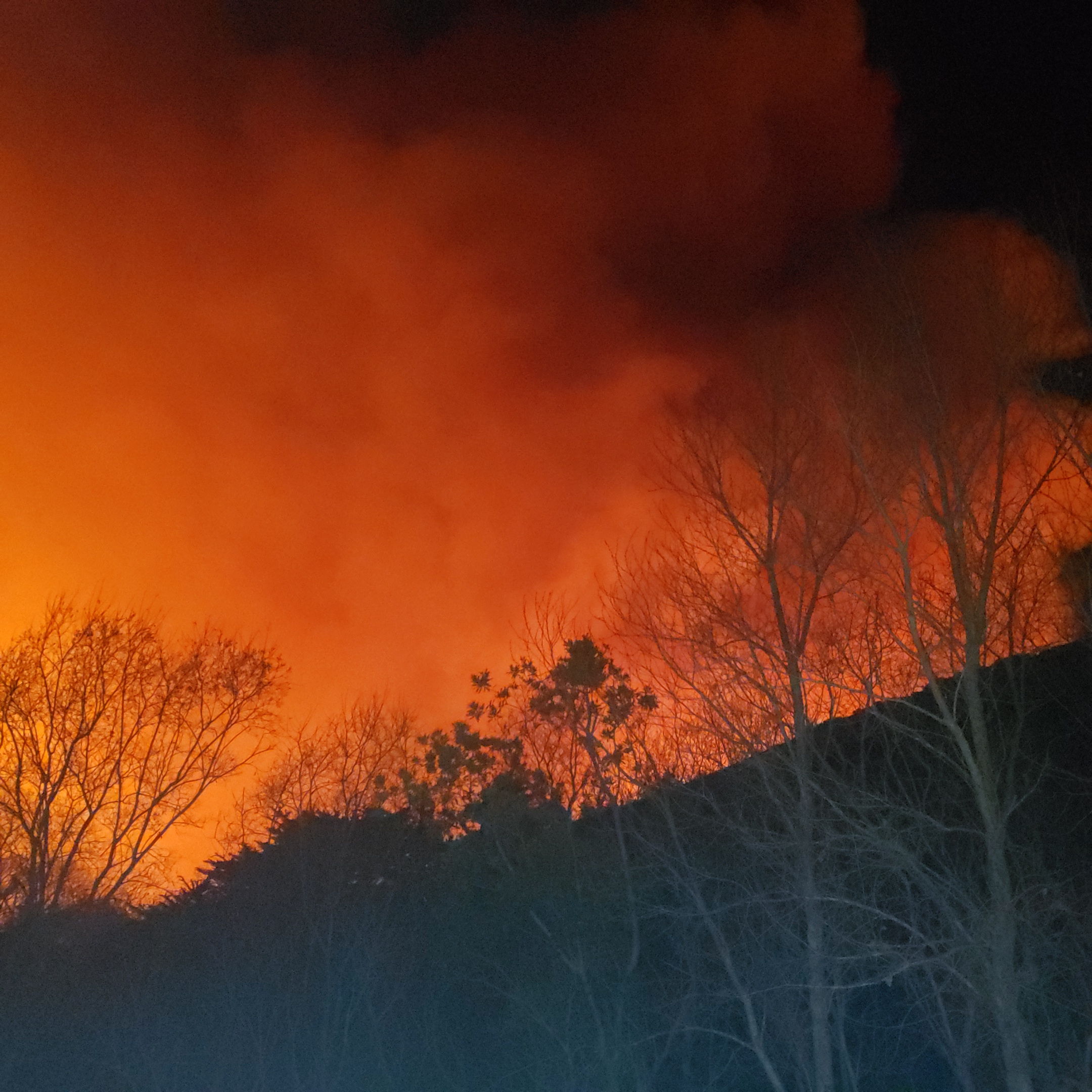 More Colorado Fire photos, 1/23/22 – BigSurKate