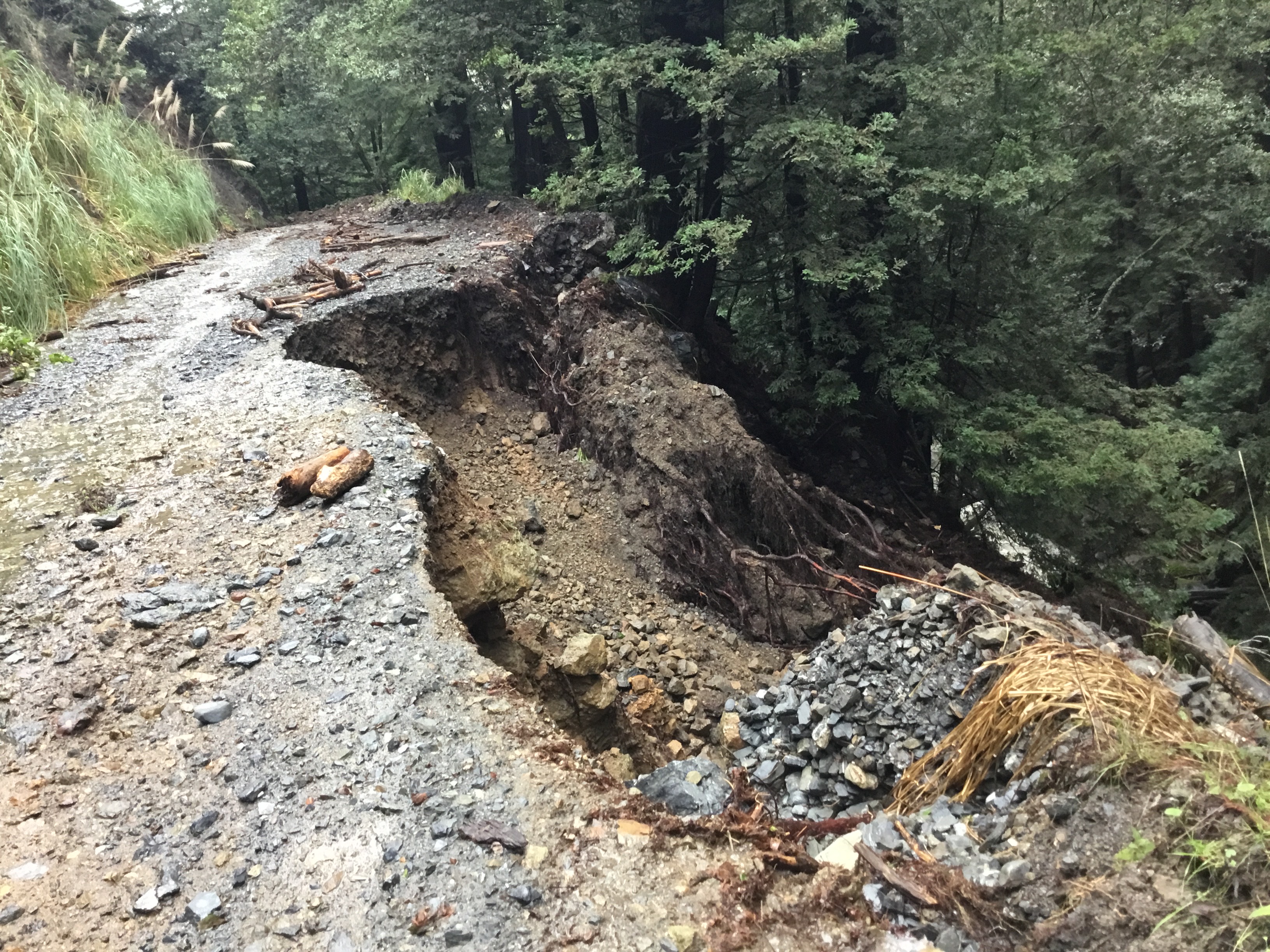 Los Burros Road, 1 mile up – BigSurKate