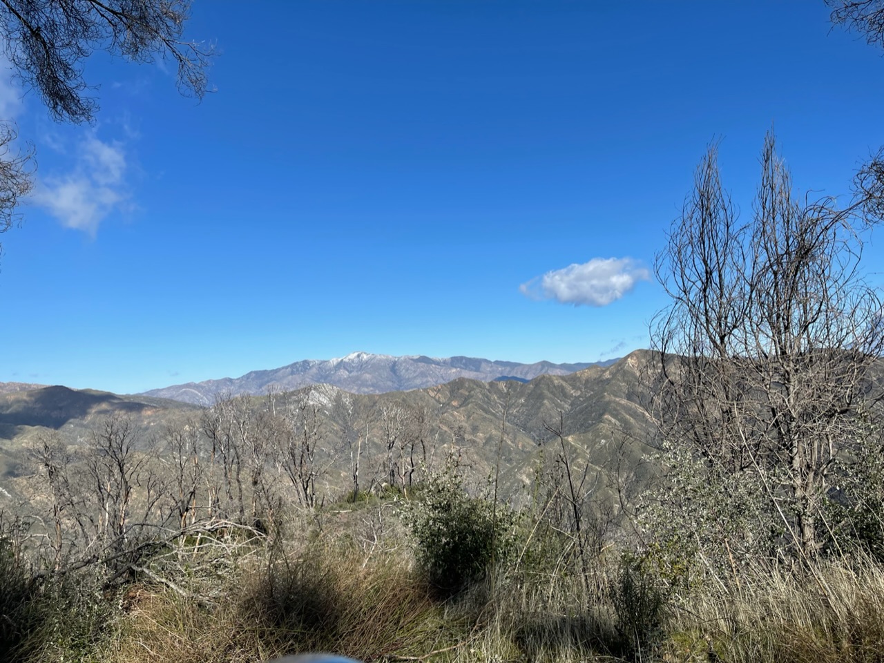 Back Country Report – BigSurKate